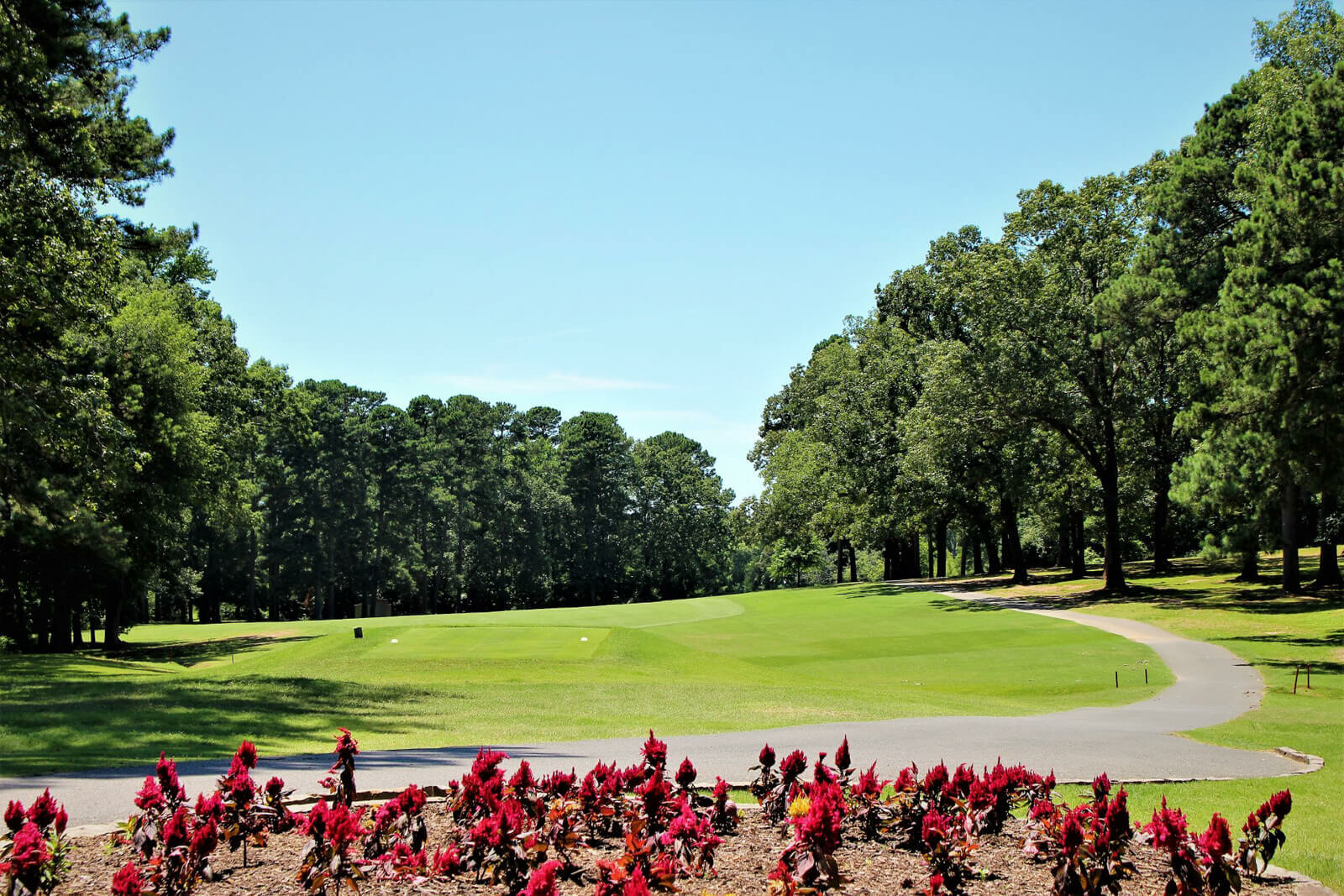 Arkansas State Golf Association | Golf Events & Promotion in Arkansas